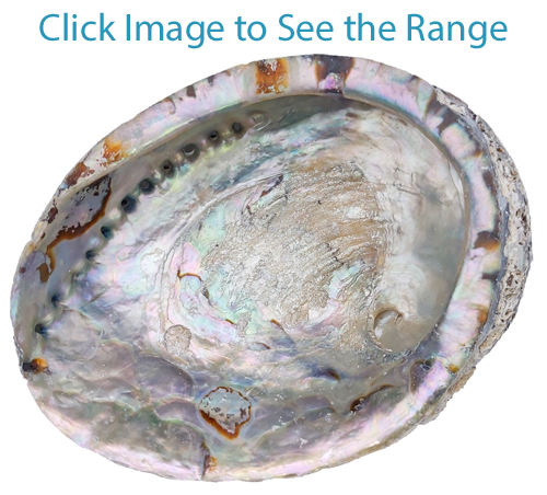 Abalone Shells Spiritual Importance