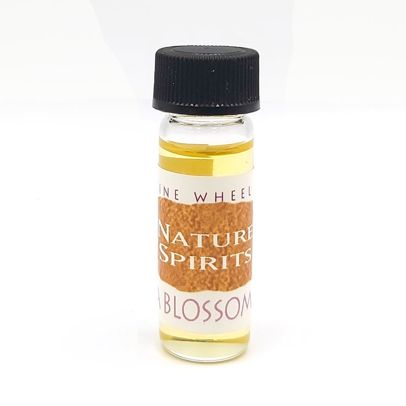 Yucca Blossom Medicine Wheel Oil