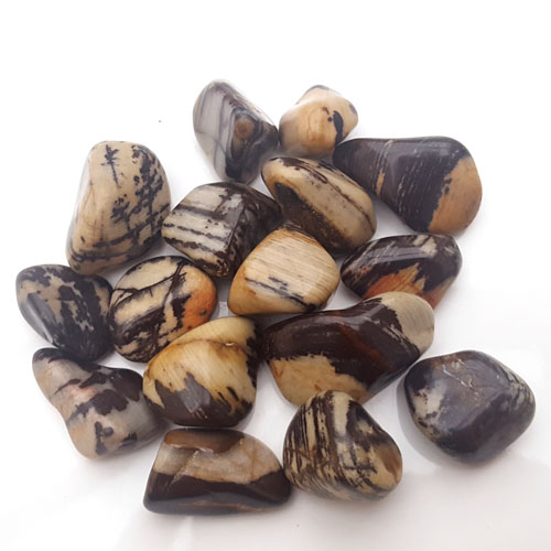 Nguni Chocolate Jasper Tumble Stones