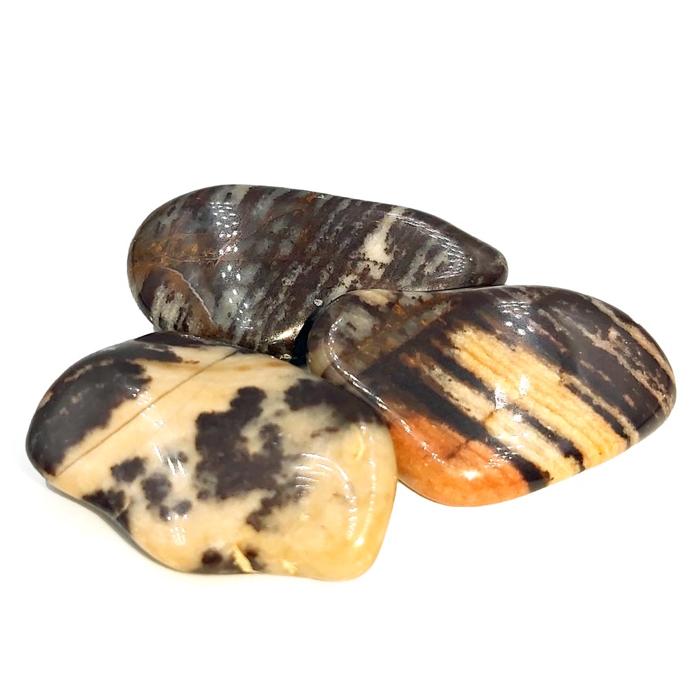 Nguni Chocolate Jasper Tumble Stones