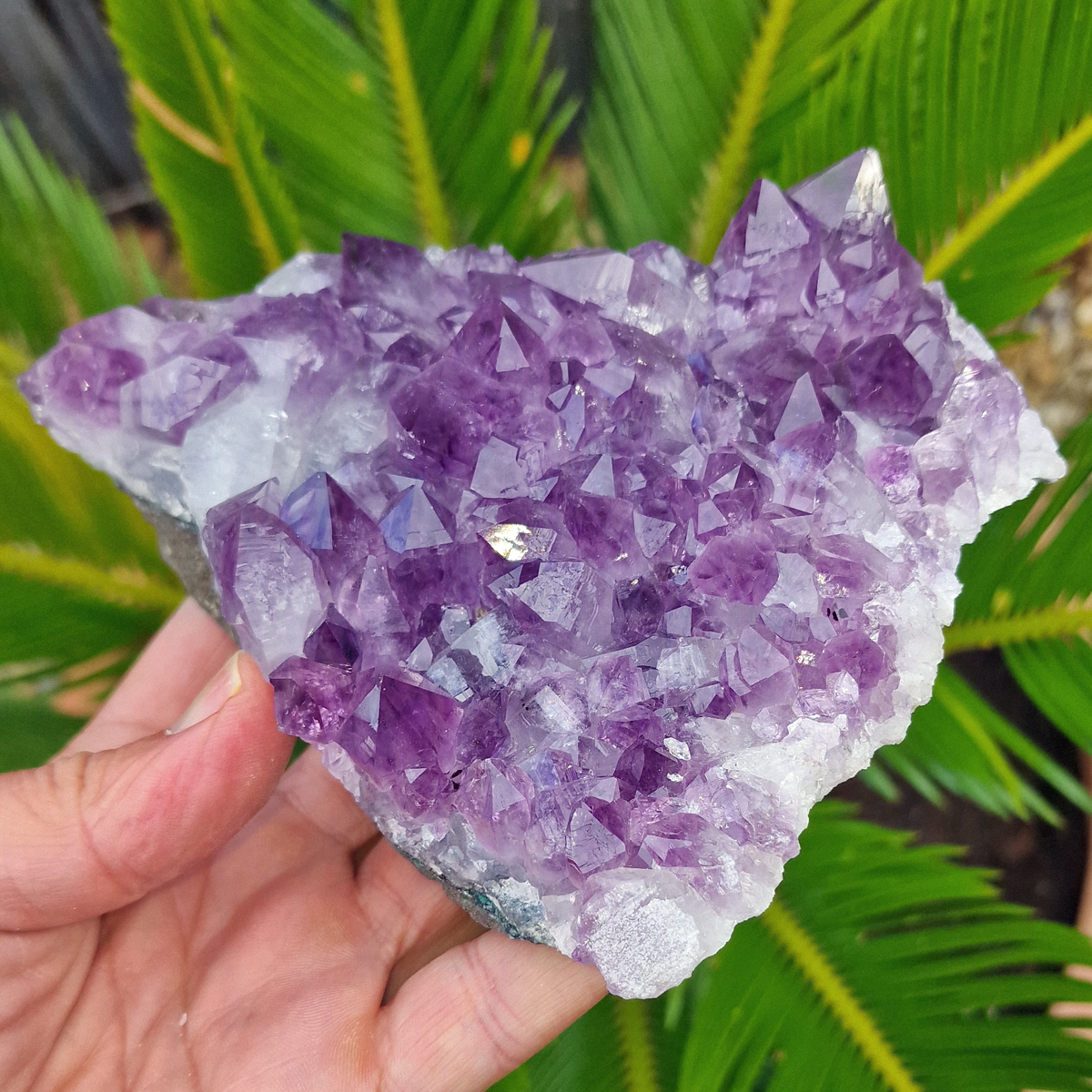 Amethyst Brazilian Cluster 4