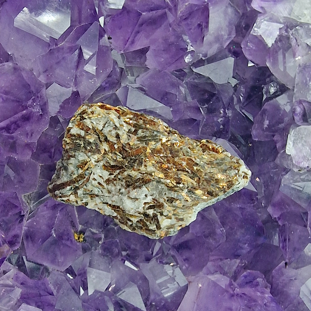 Astrophyllite Crystal Specimen 5