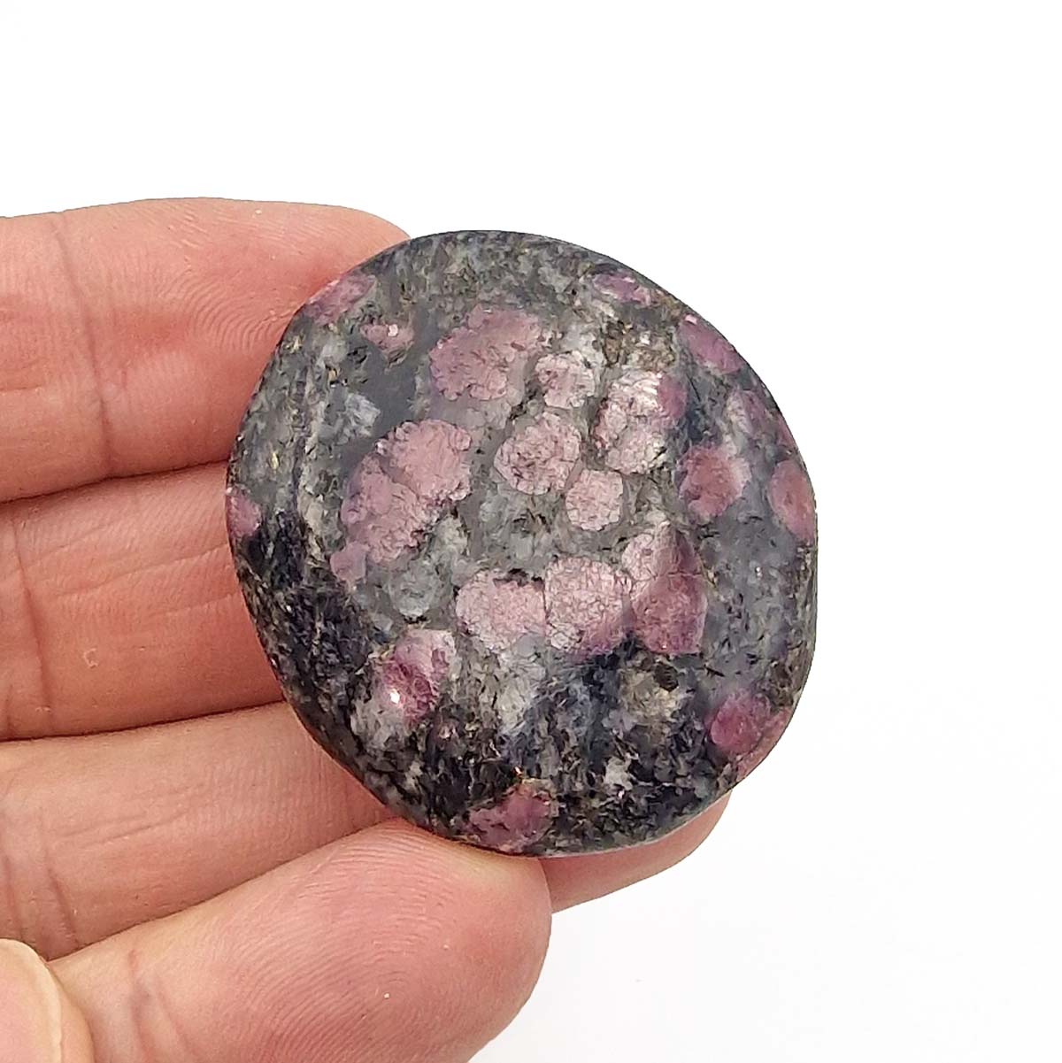 Garnet in Matrix Palm Stone