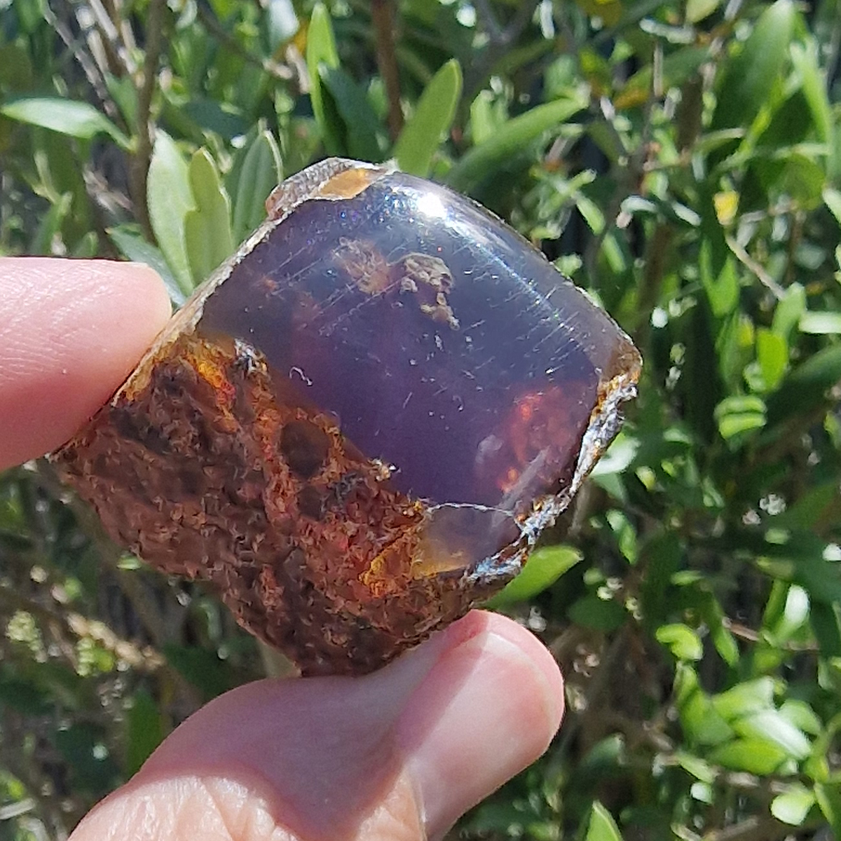 Indonesian Polished Blue Amber No.9