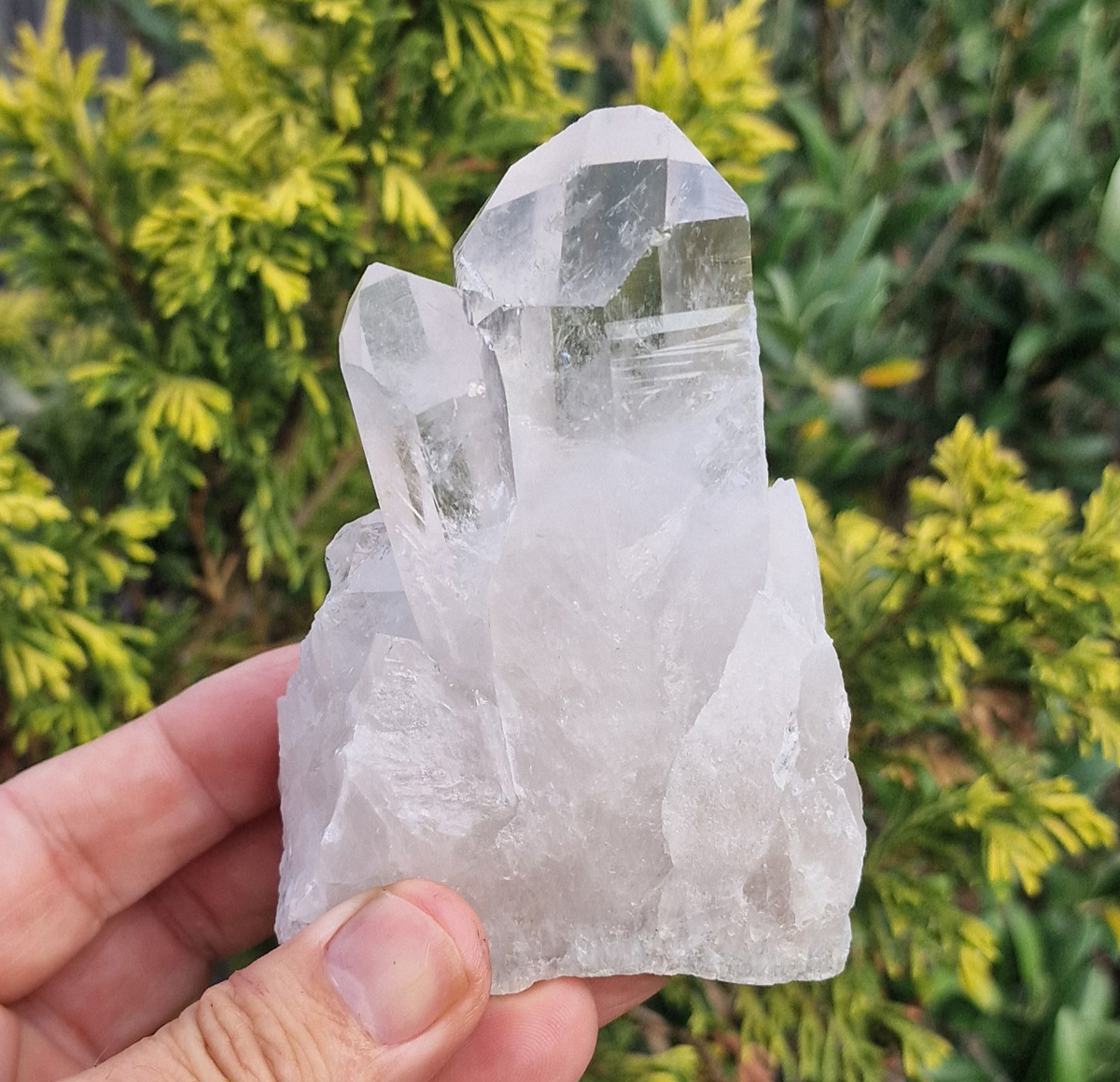 Brazilian Quartz Cluster b1