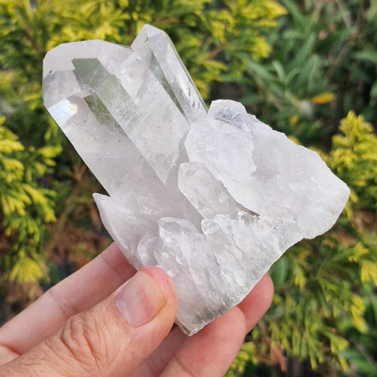 Brazilian Quartz Cluster b1
