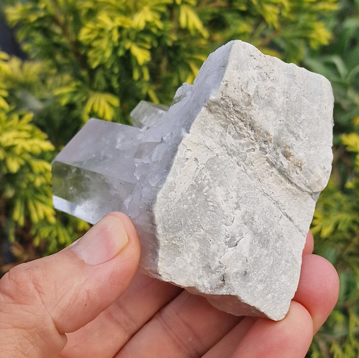 Brazilian Quartz Cluster b1