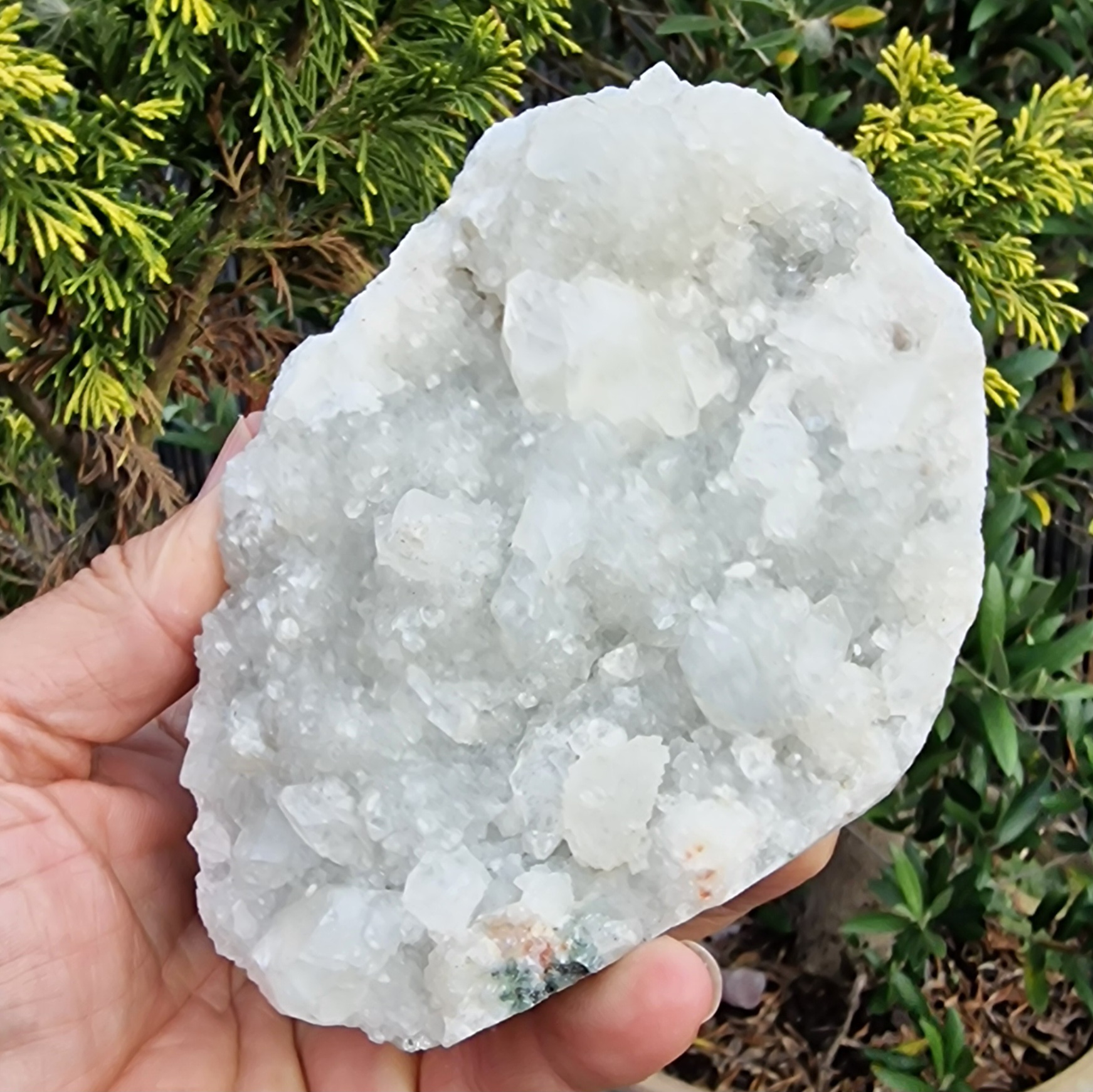 Apophyllite In matirx Specimen no7