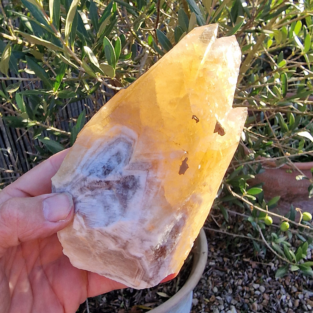 Large Dogtooh Orange Calcite Crystal 2A